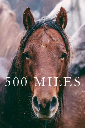 500 MILES | Watch Documentary Online for Free
